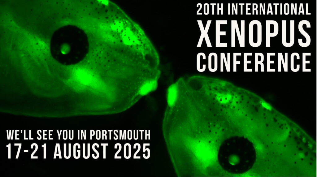 Xenopus Online Resource – Xenopus Resource Centre (EXRC)